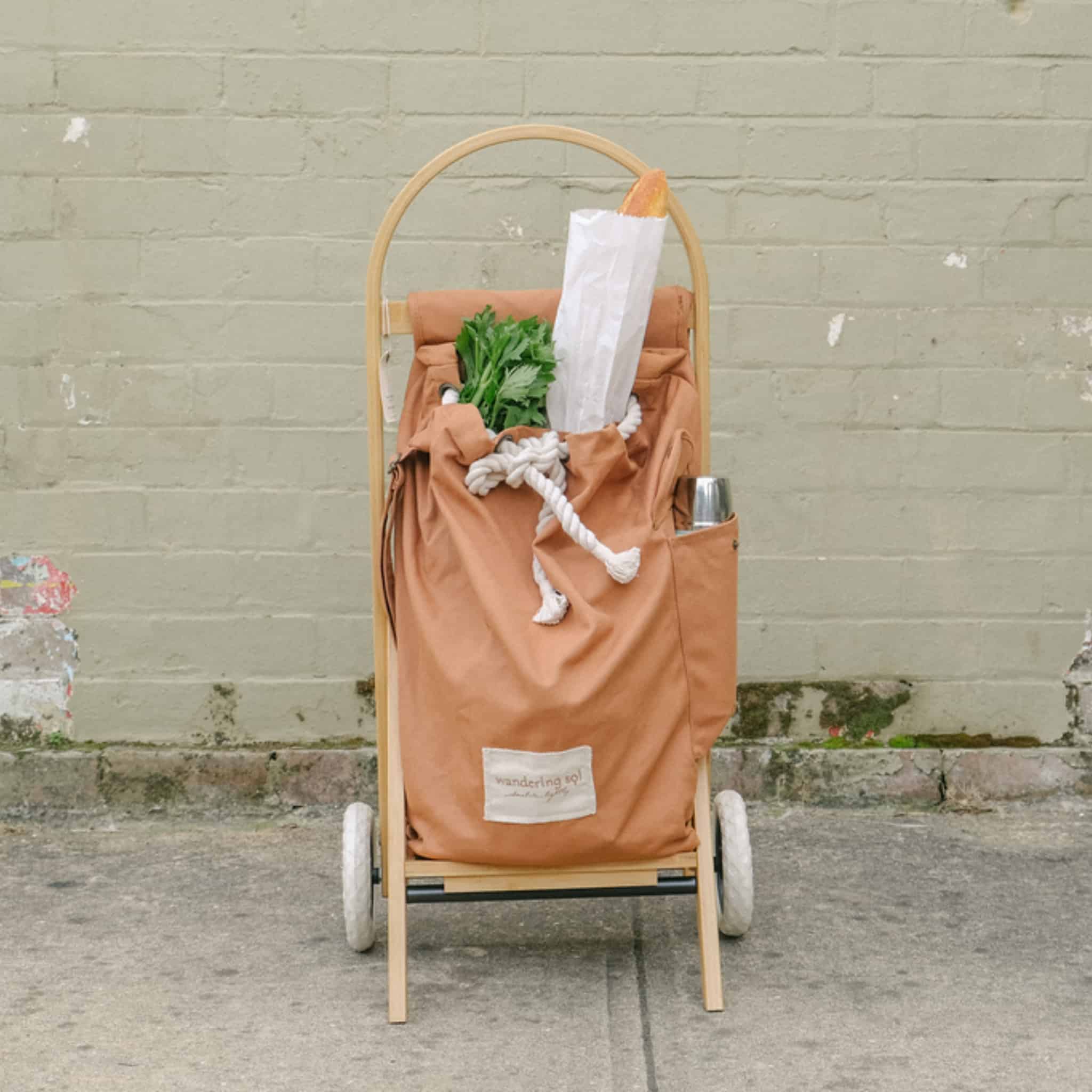 Wanderer Carts – Wandering Sol