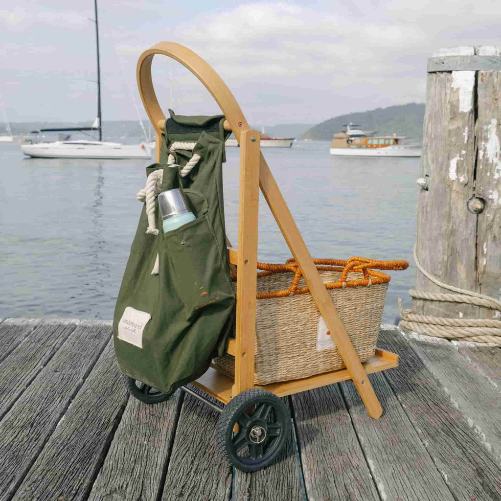 Wandering Sol I Bamboo Carts I Recycled Canvas Bags